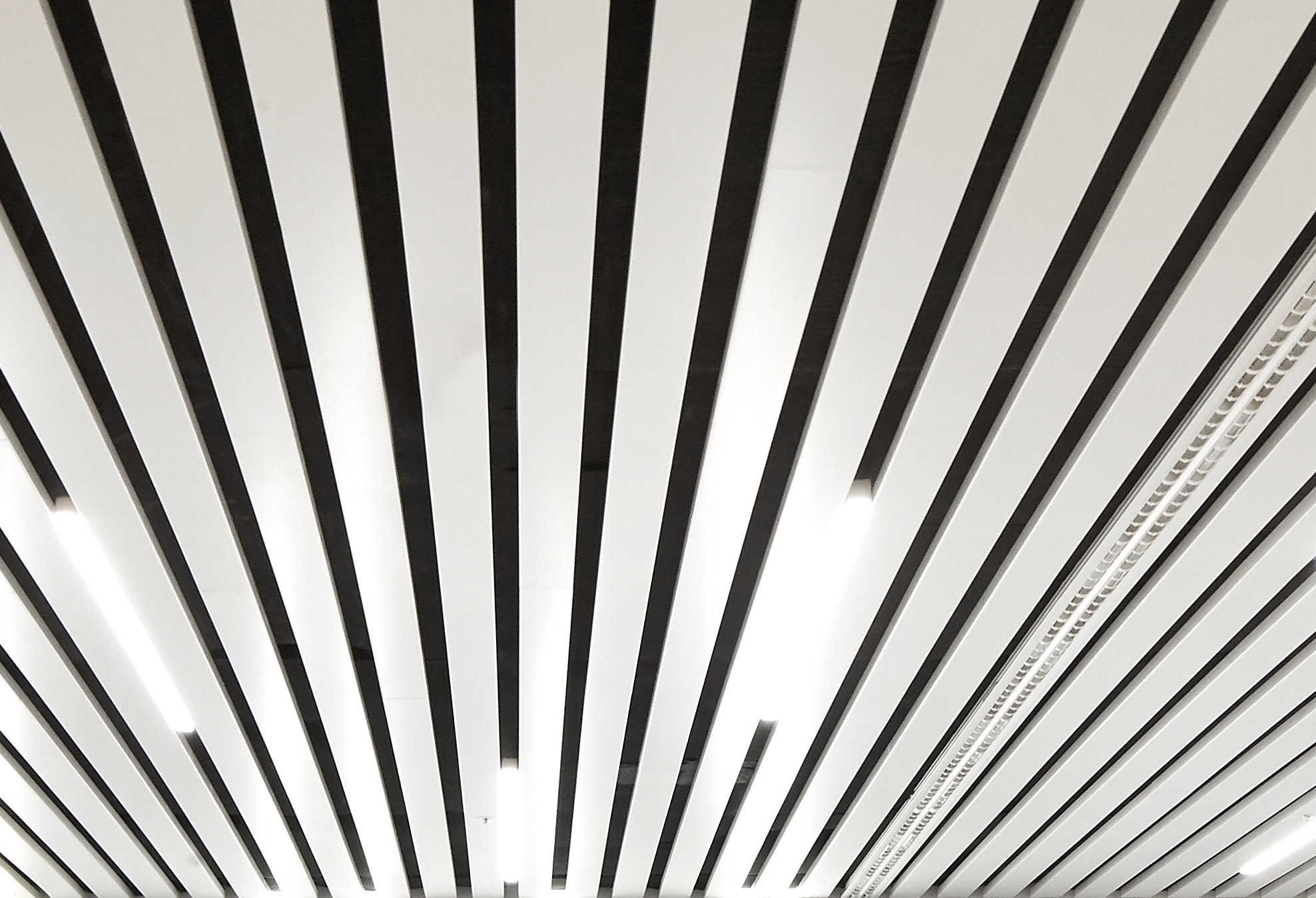 Linear Metal Ceilings | SAS
