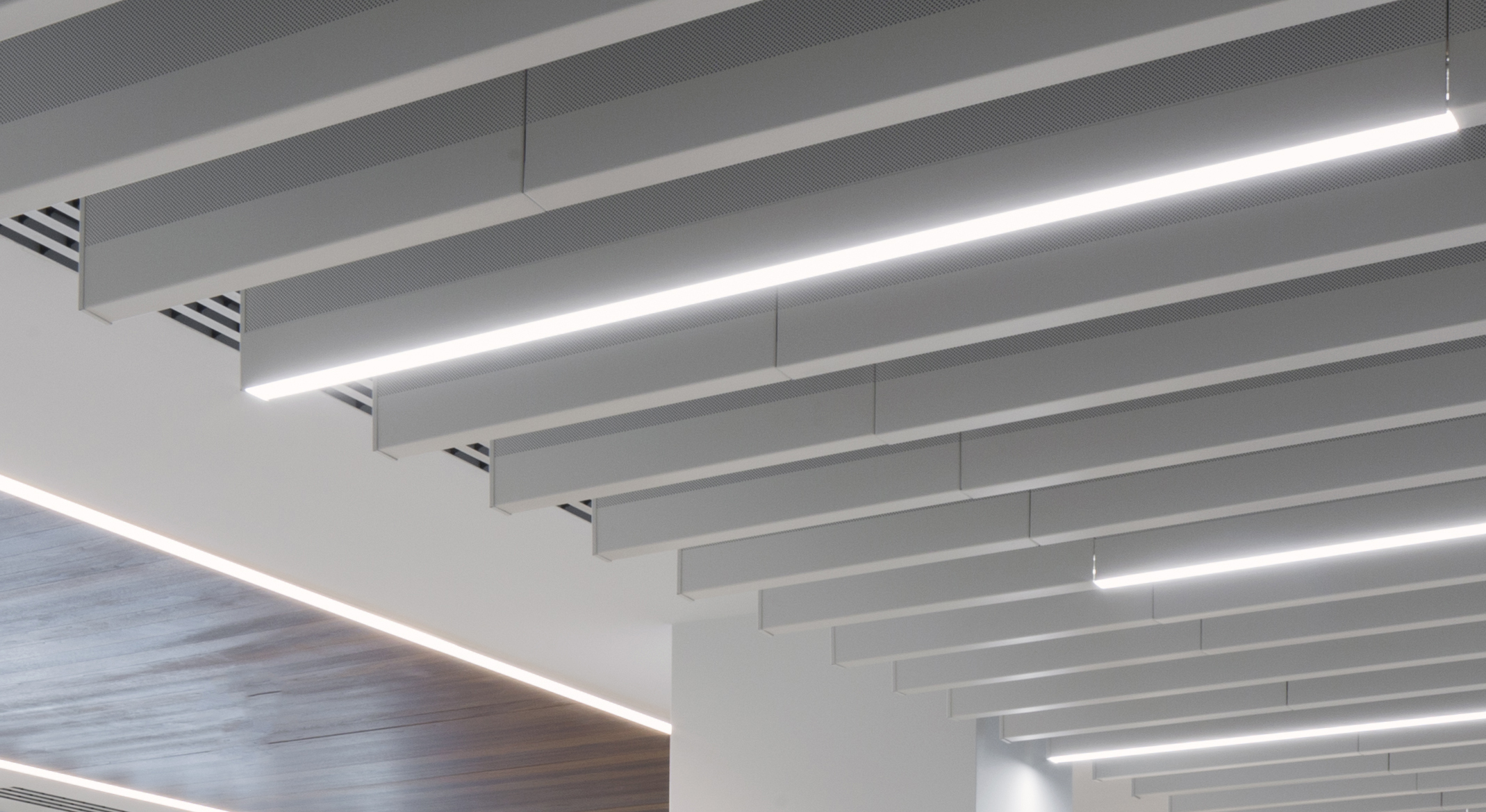 Baffle Ceiling Lights | SAS